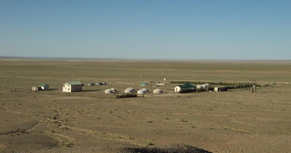 mongolian desert