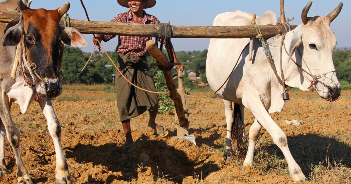 The Dry Zone of Myanmar: A Strategic Resilience Assessment of Farming ...