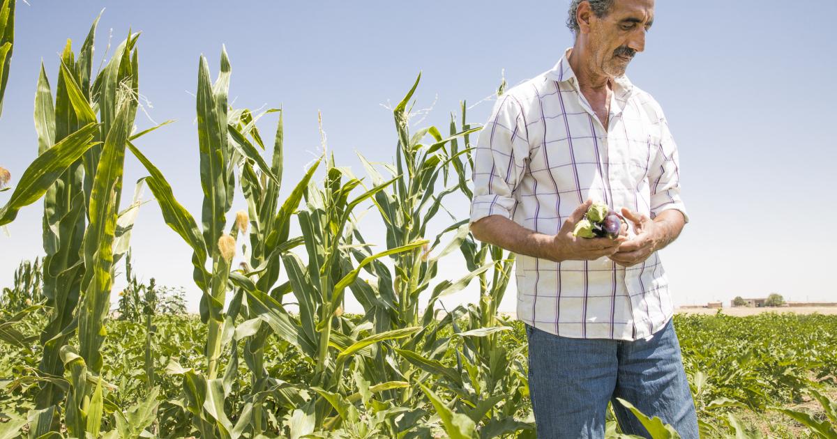 A farmer in Syria | Mercy Corps