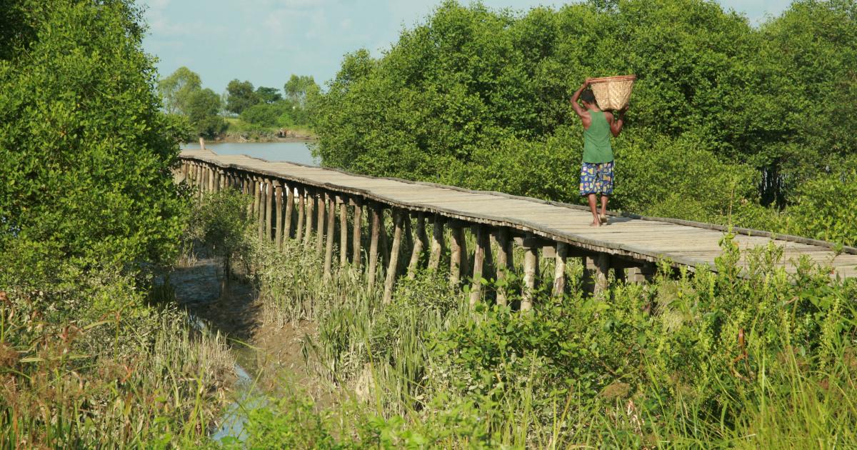 Building Bridges to Laputta