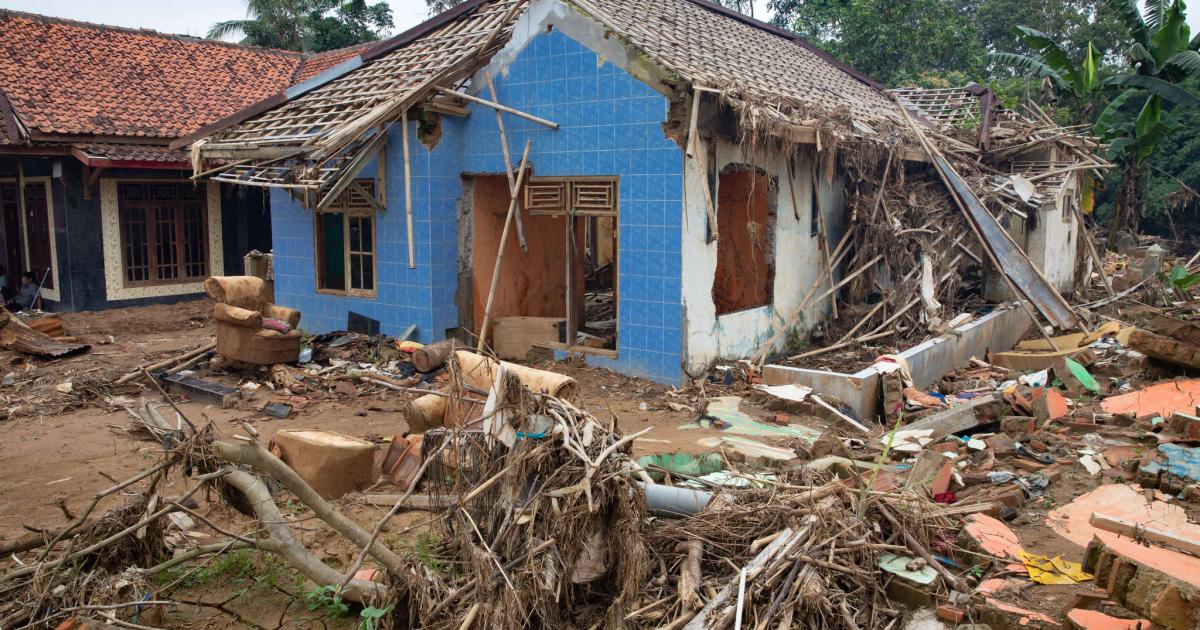 Building Back Better