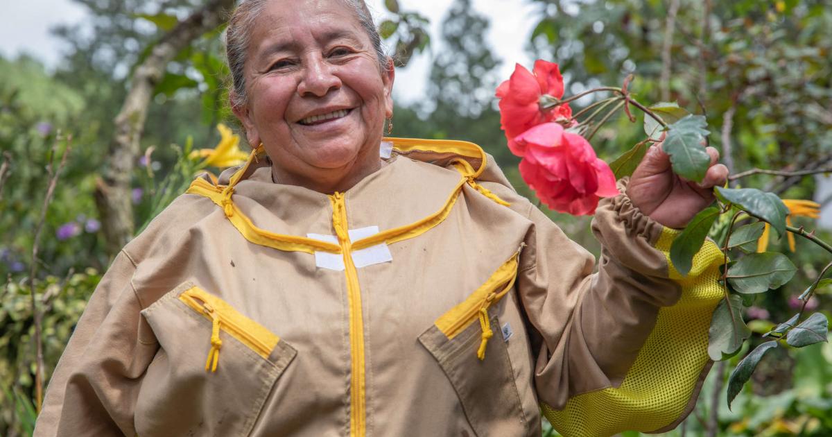 Lida, the bee rescuer | Mercy Corps