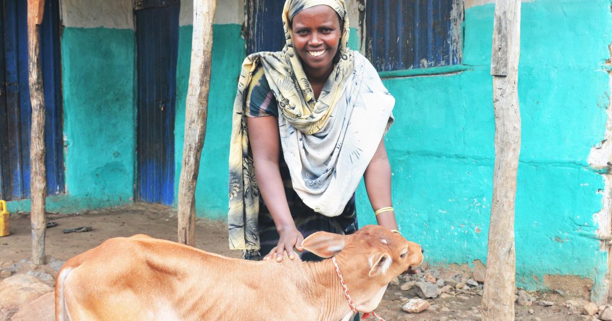 Transforming last-mile animal health services to build resilience in ...