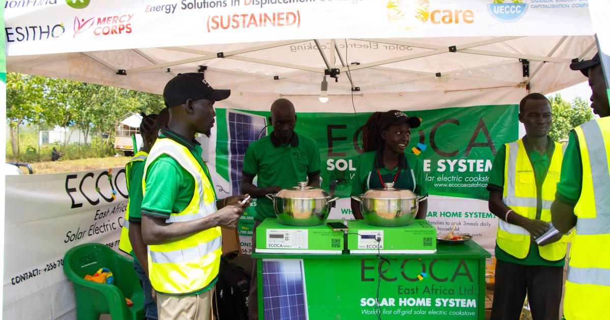 Effective Strategies to Promote Clean Energy Adoption