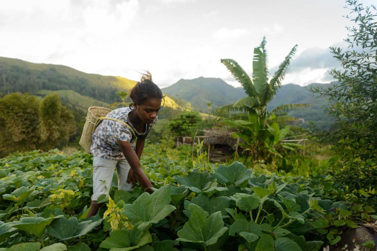 Life of a girl: Solar power lights the way for Lourdes | Mercy Corps