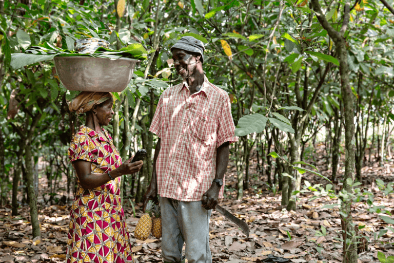 The weather forecasting algorithm building farmer and food system ...