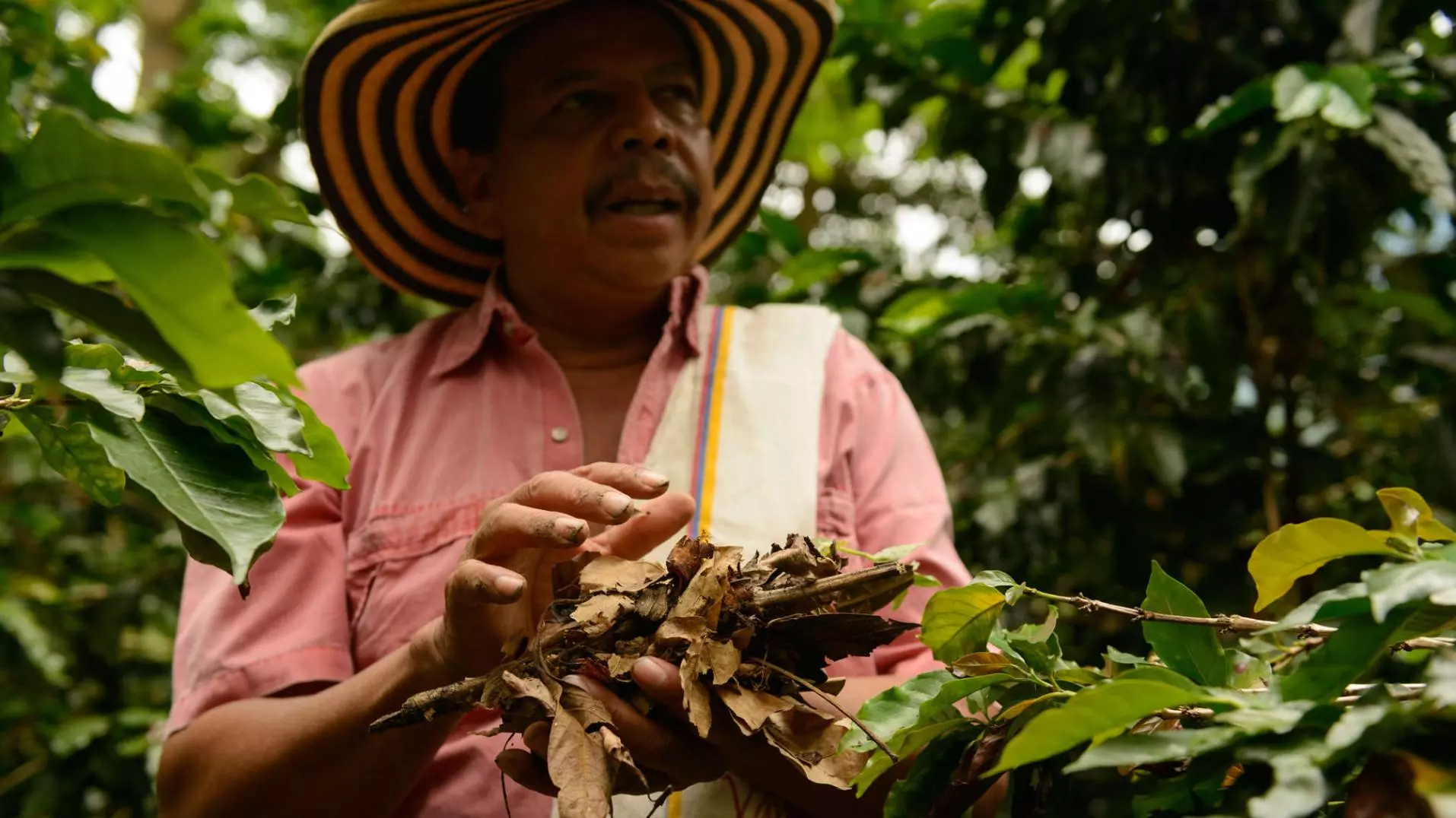 Mercy Corps Ventures | Mercy Corps