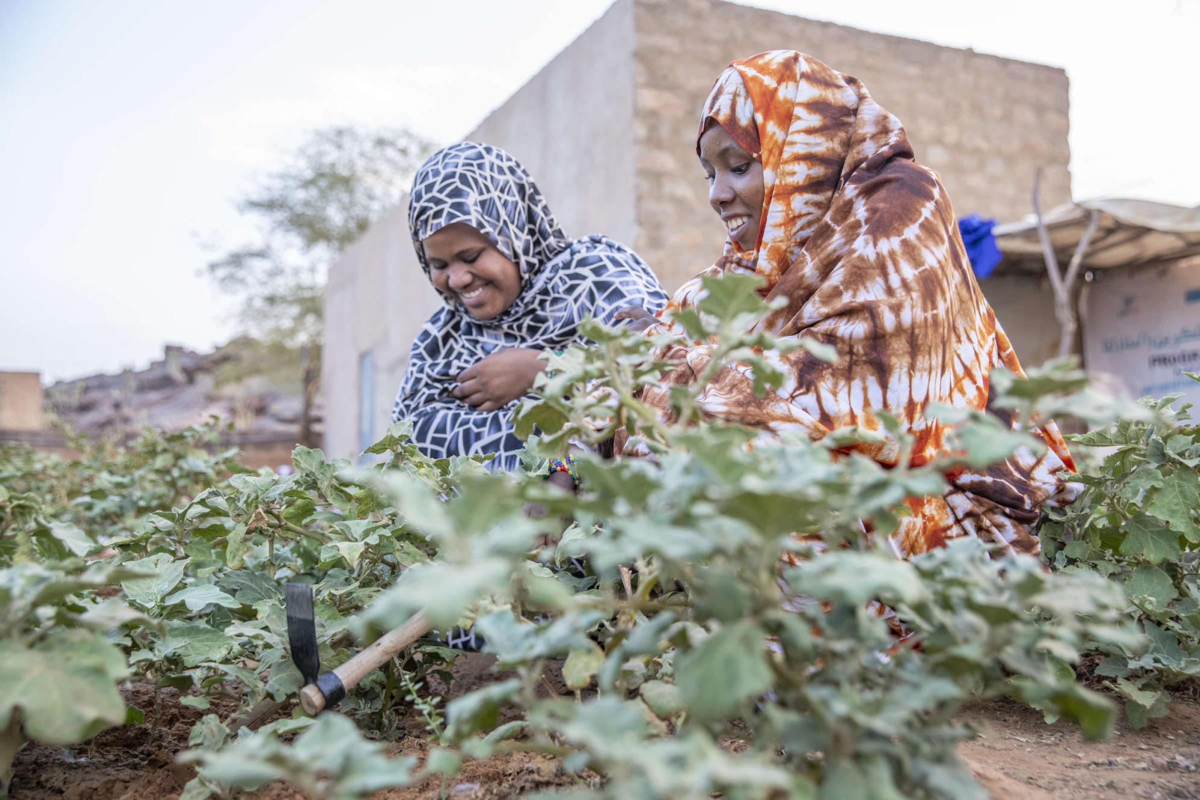 Mauritania | Mercy Corps