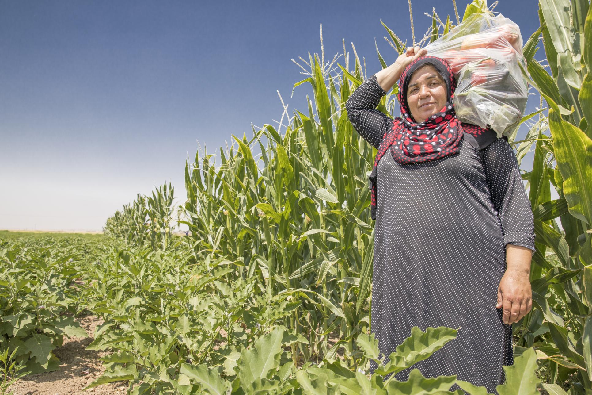 A farmer in Syria | Mercy Corps